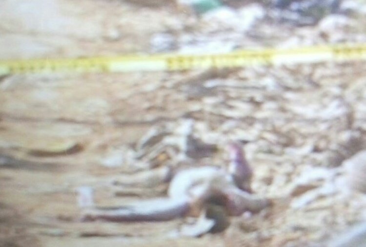 Hallan cadáver de mujer en Tlaquepaque – Jalisco Rojo
