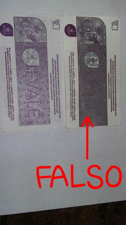 Transvales falsos y bienevales se obtienen en centros autorizados por ...